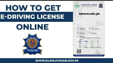 E Driving Licence Punjab DLIMS Tracking Pakistan